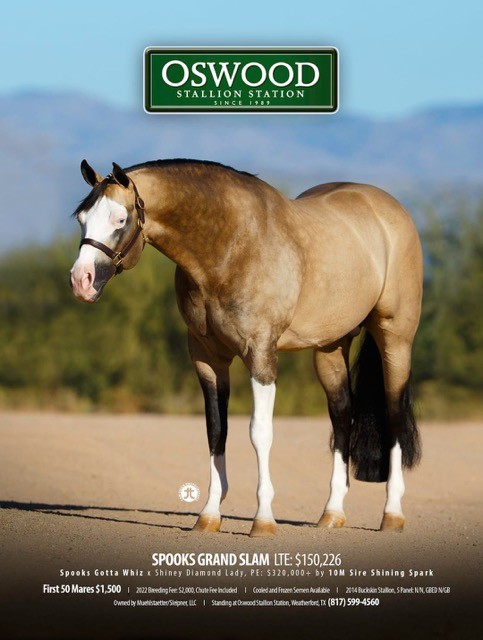 Spooks Gotta Gun Pedigree